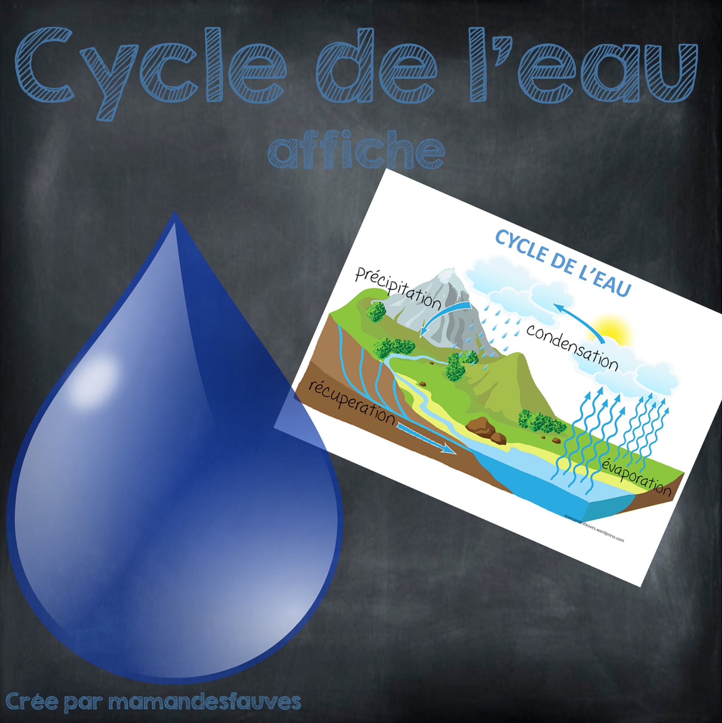 Cycle de l’eau fiche à imprimer et liste de lecture – Maman des fauves