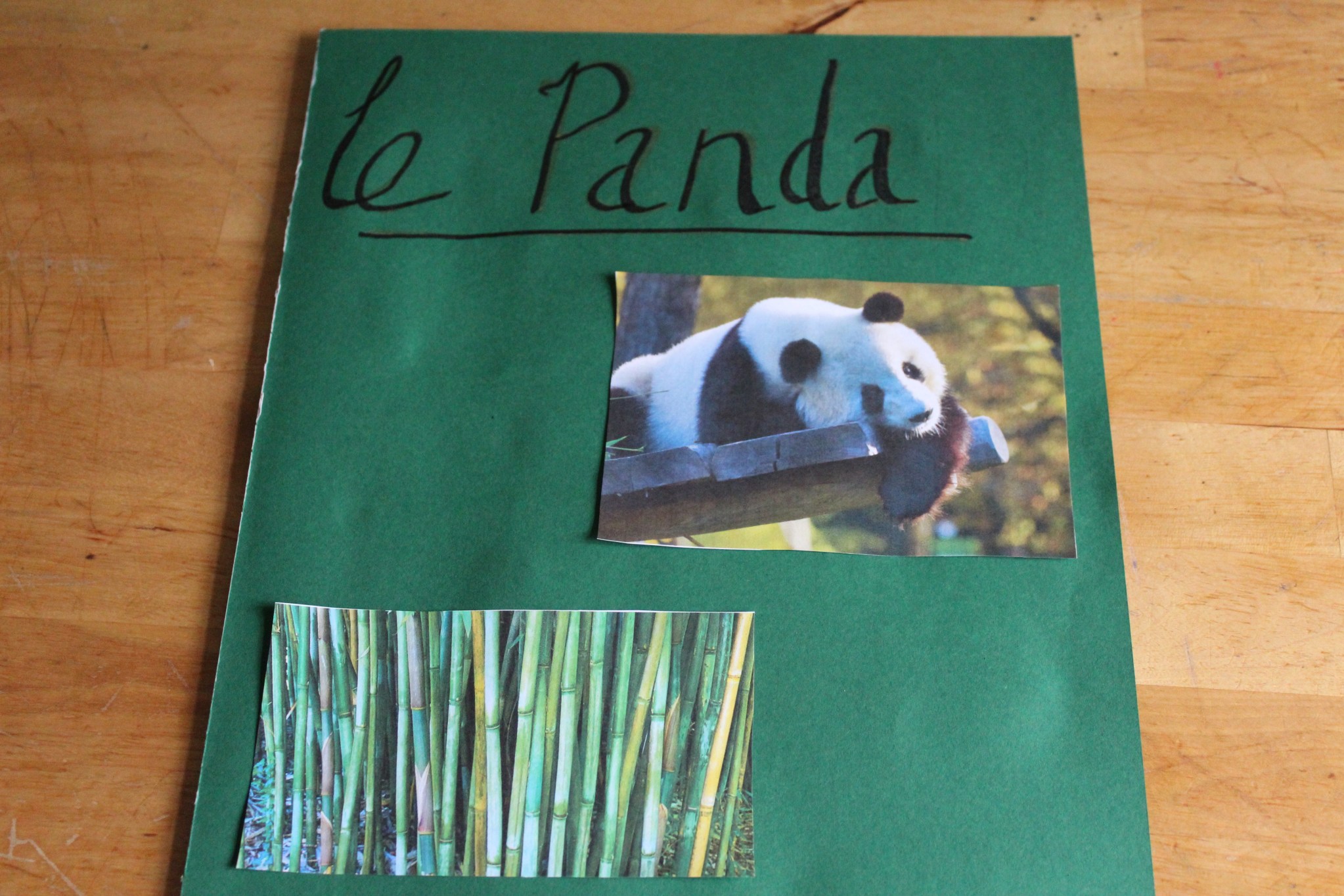 LapBook « Le Panda » de chez Carpe Diem éducation – Maman des fauves