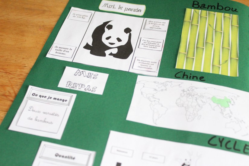 LapBook « Le Panda » de chez Carpe Diem éducation – Maman des fauves