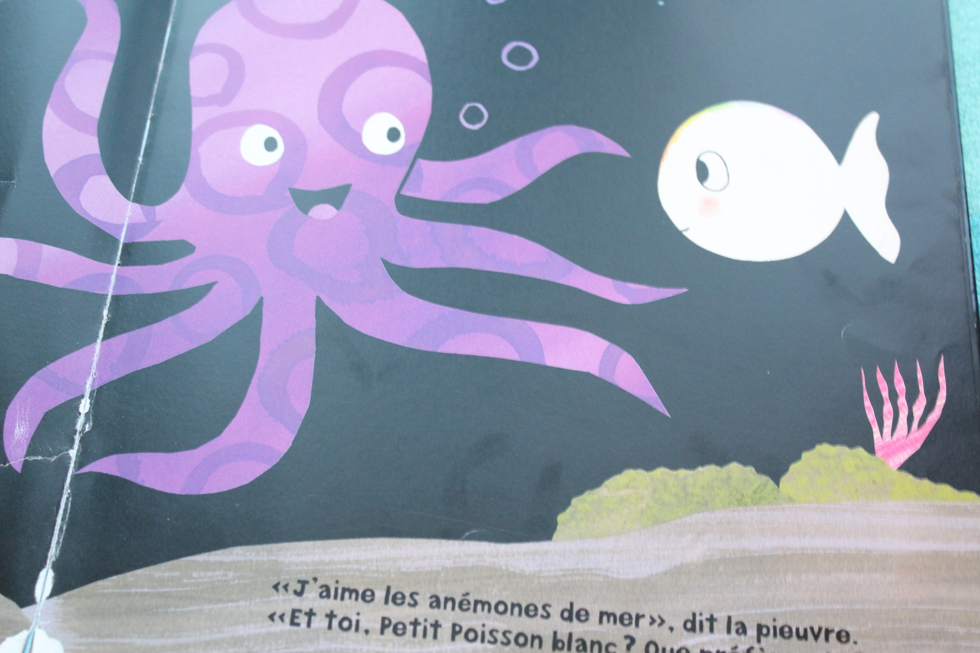 Sous l’océan – liste de lecture – Maman des fauves