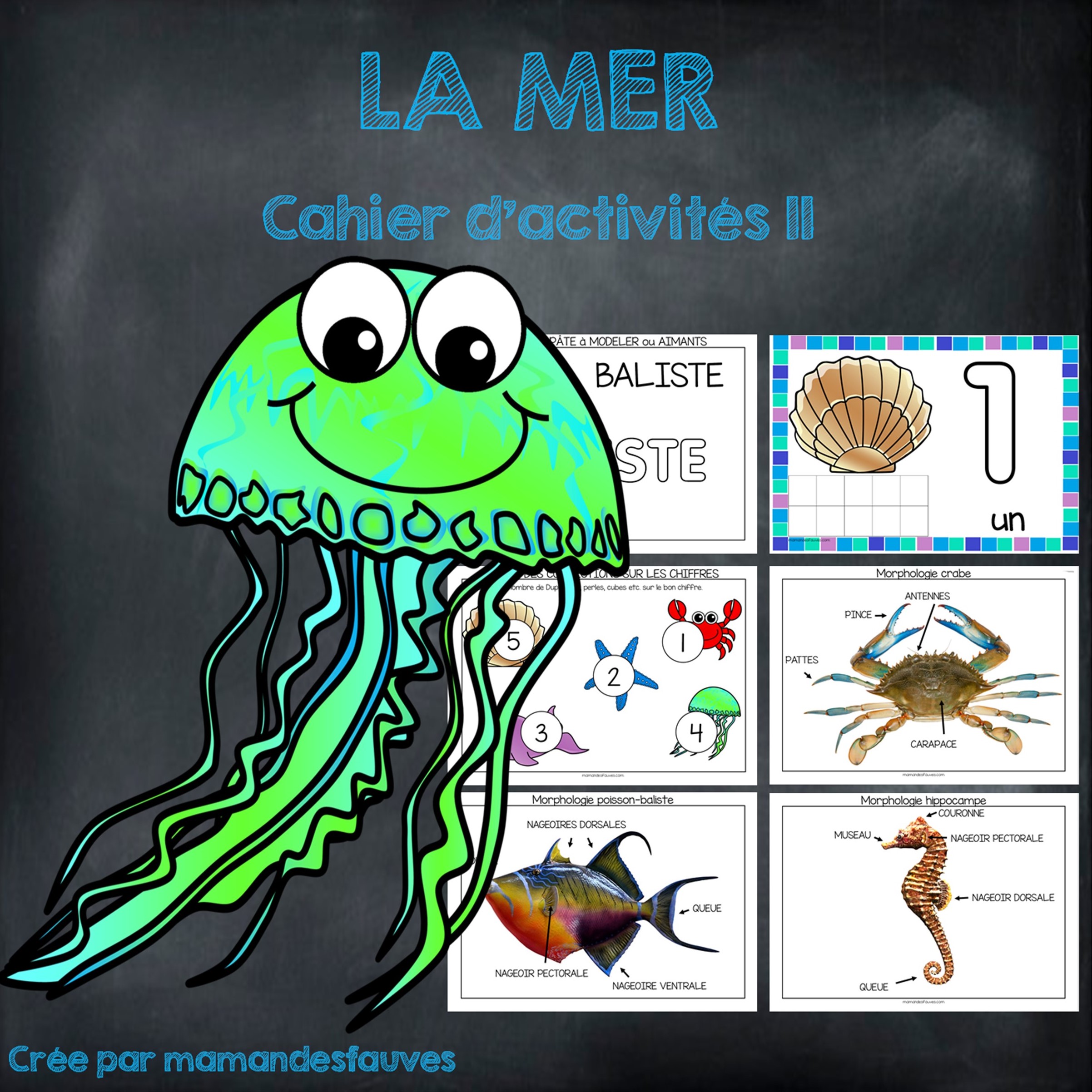 Sous l’océan – fiches à imprimer – Maman des fauves