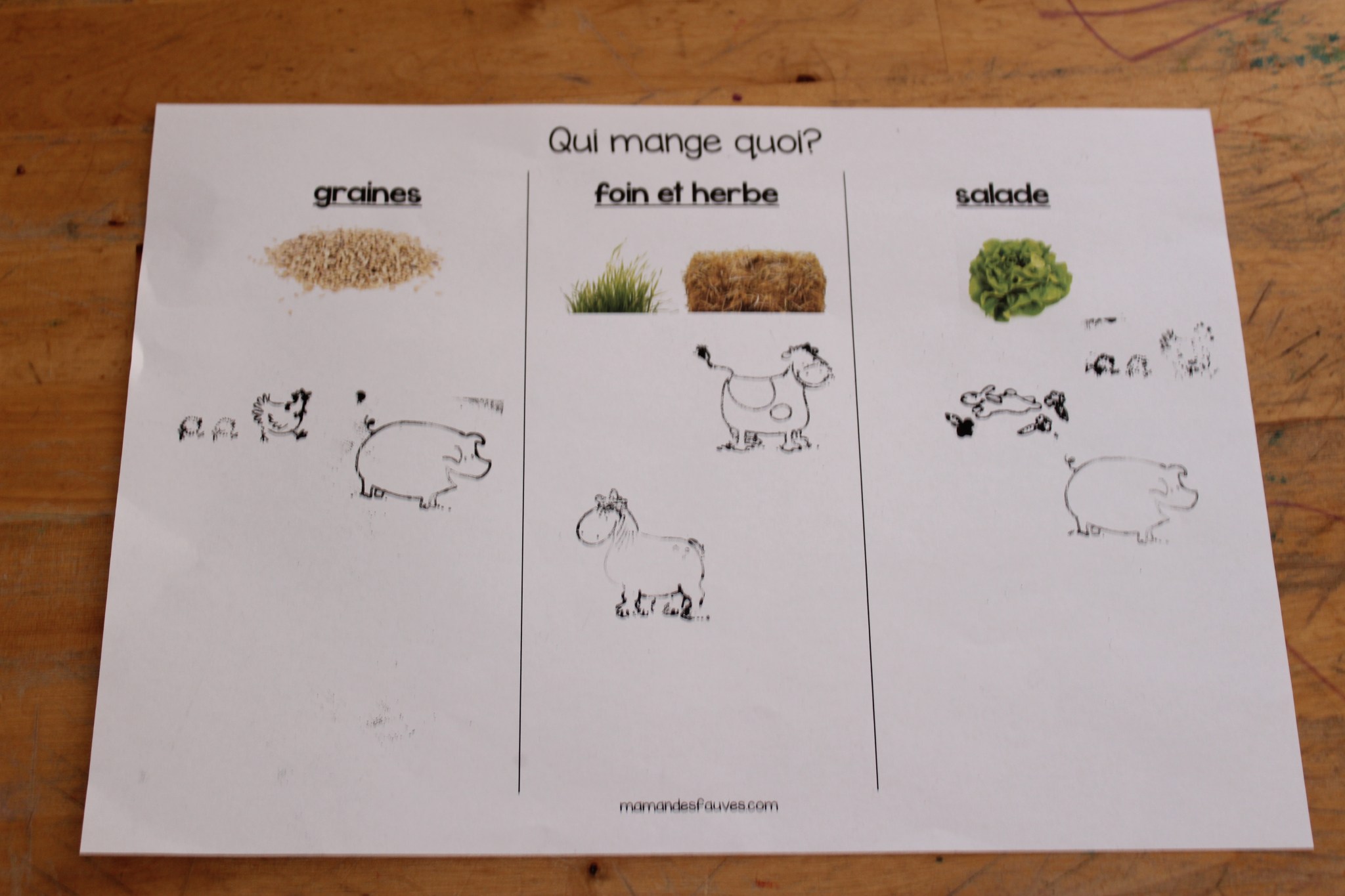 Nos activités autour de la ferme – Maman des fauves