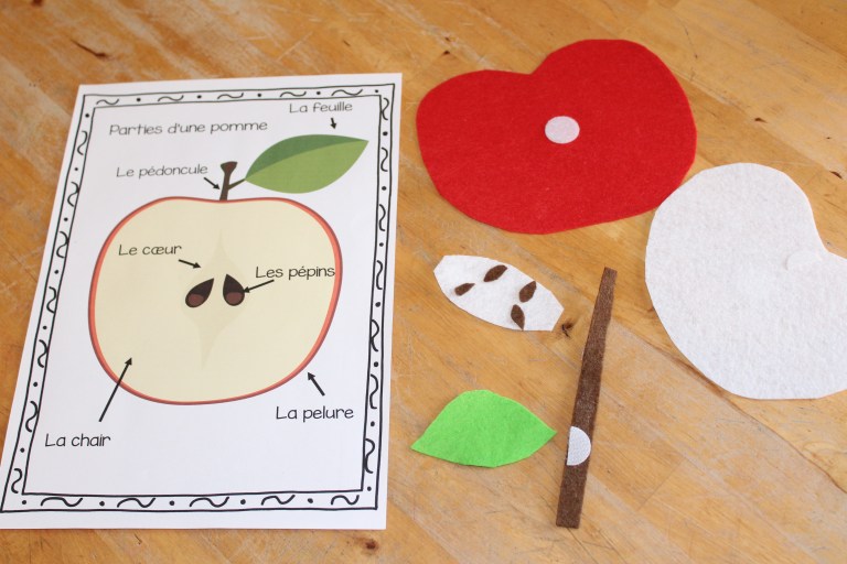 Nos activités autour de la pomme – Maman des fauves