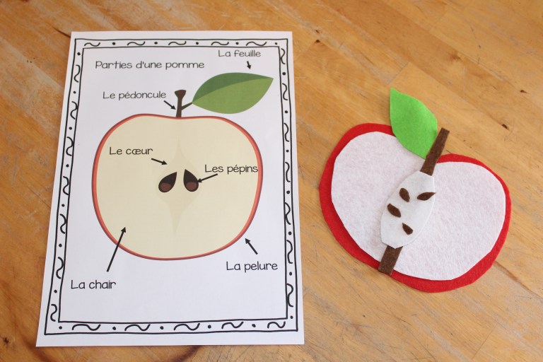 Nos activités autour de la pomme – Maman des fauves