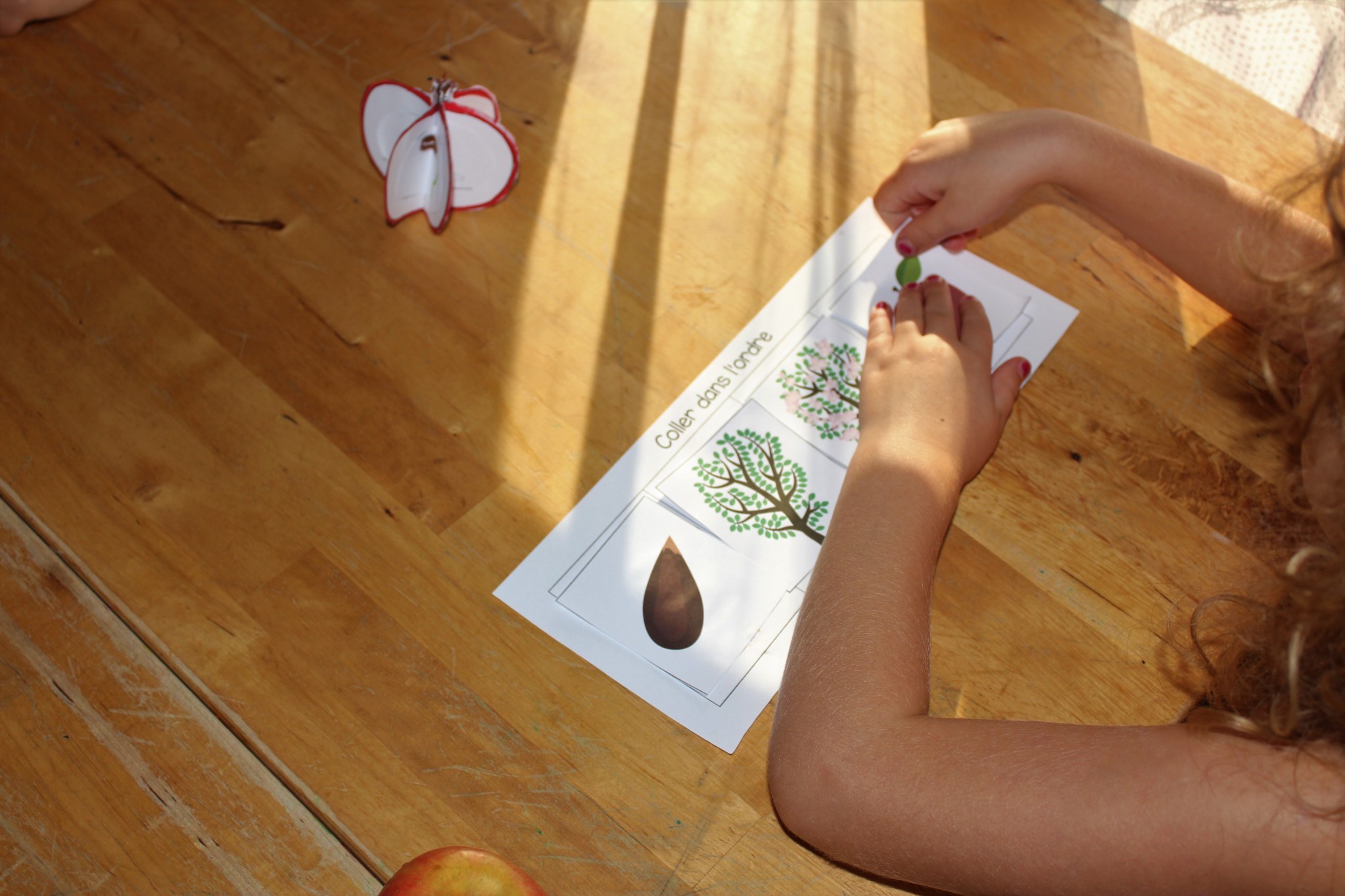 Nos activités autour de la pomme – Maman des fauves