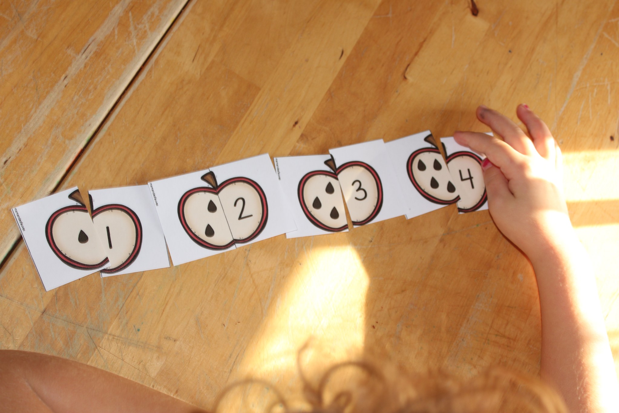 Nos activités autour de la pomme – Maman des fauves