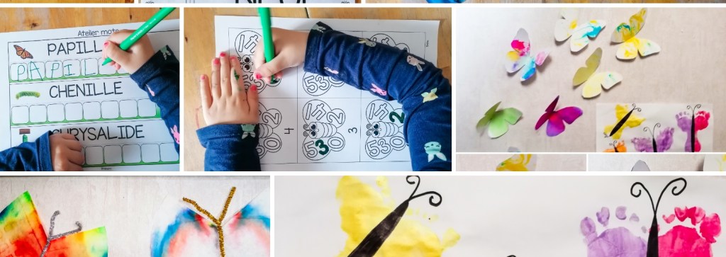 Nos activités autour des papillons – Maman des fauves
