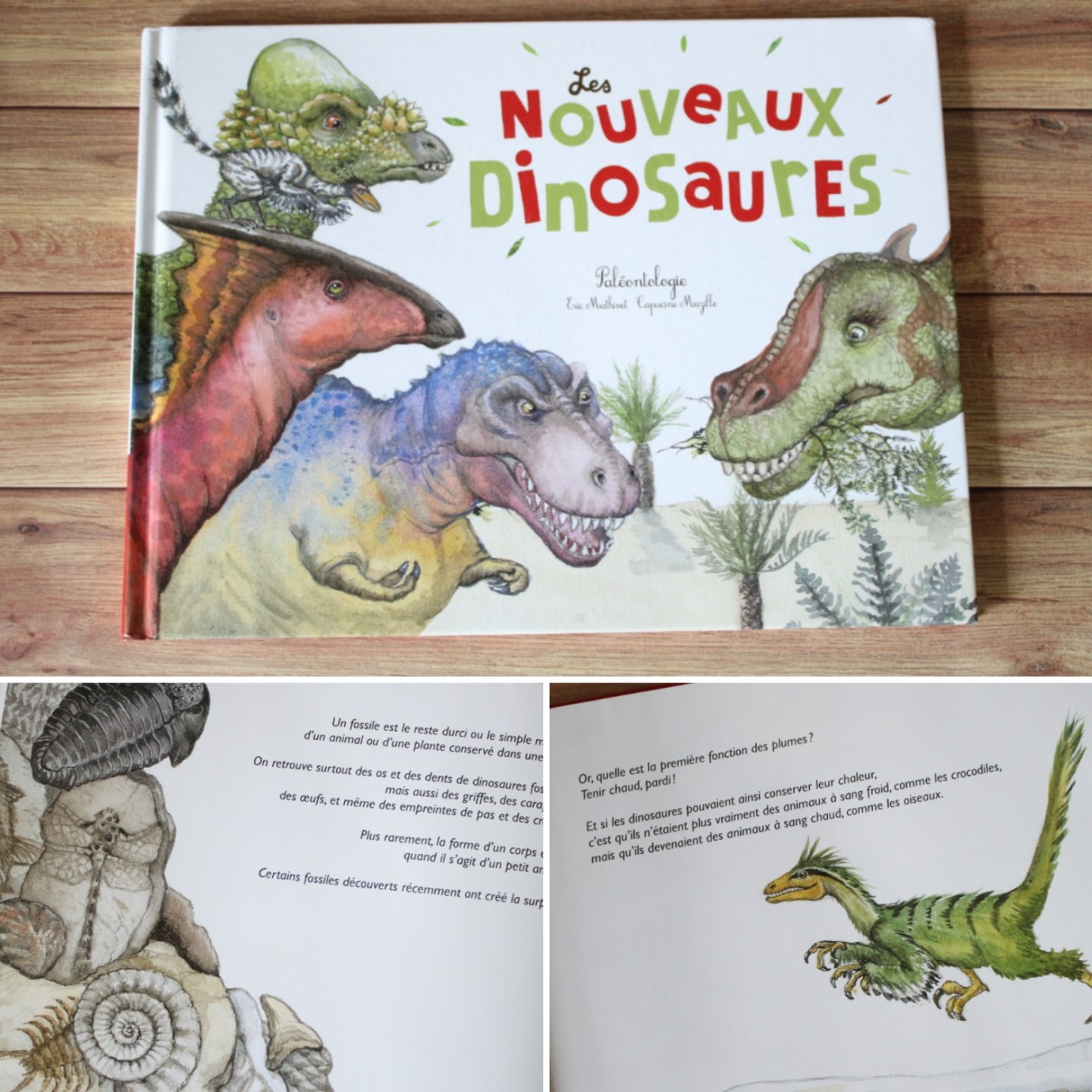 Les dinosaures – liste de lecture – Maman des fauves