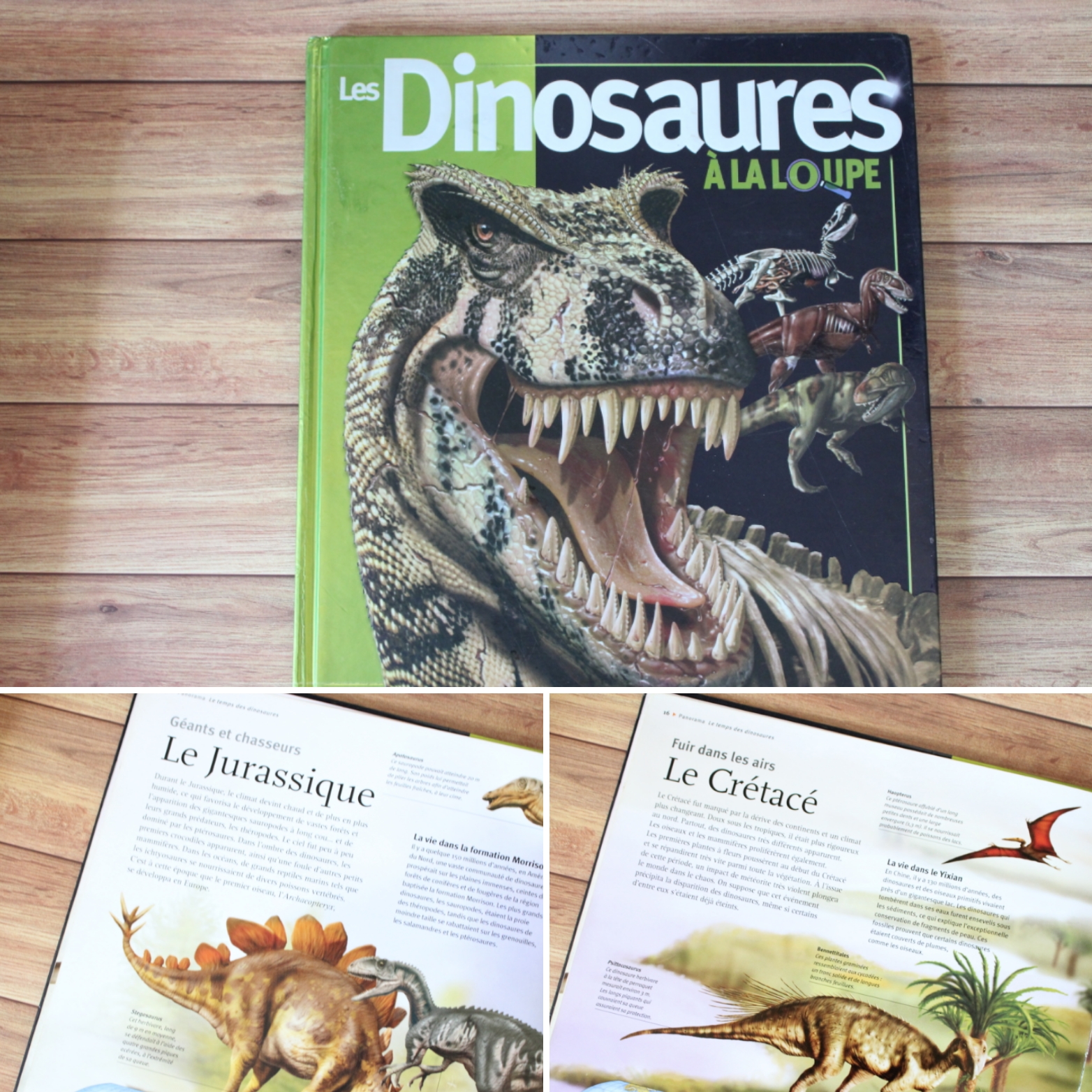 Les dinosaures – liste de lecture – Maman des fauves