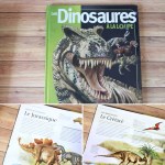 Les dinosaures – liste de lecture – Maman des fauves