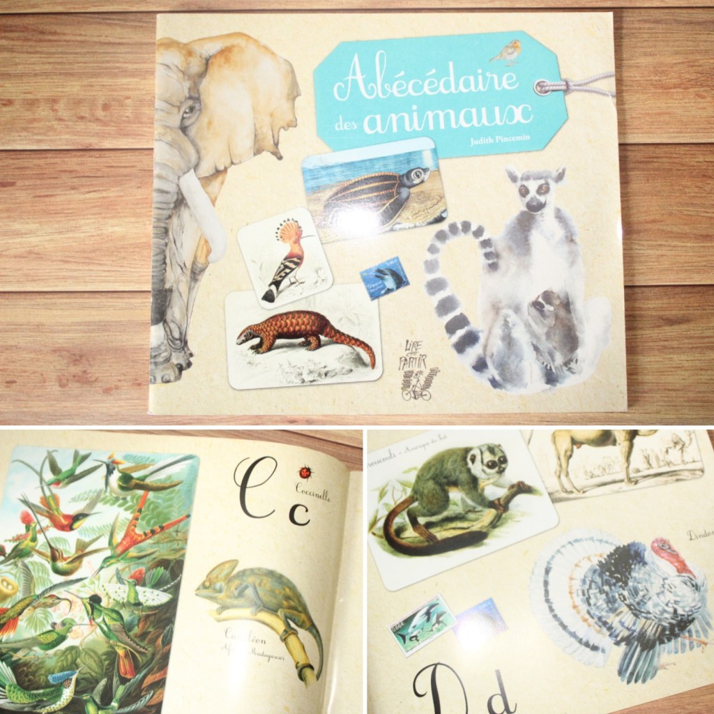 Premiers lectures en petite section – Maman des fauves