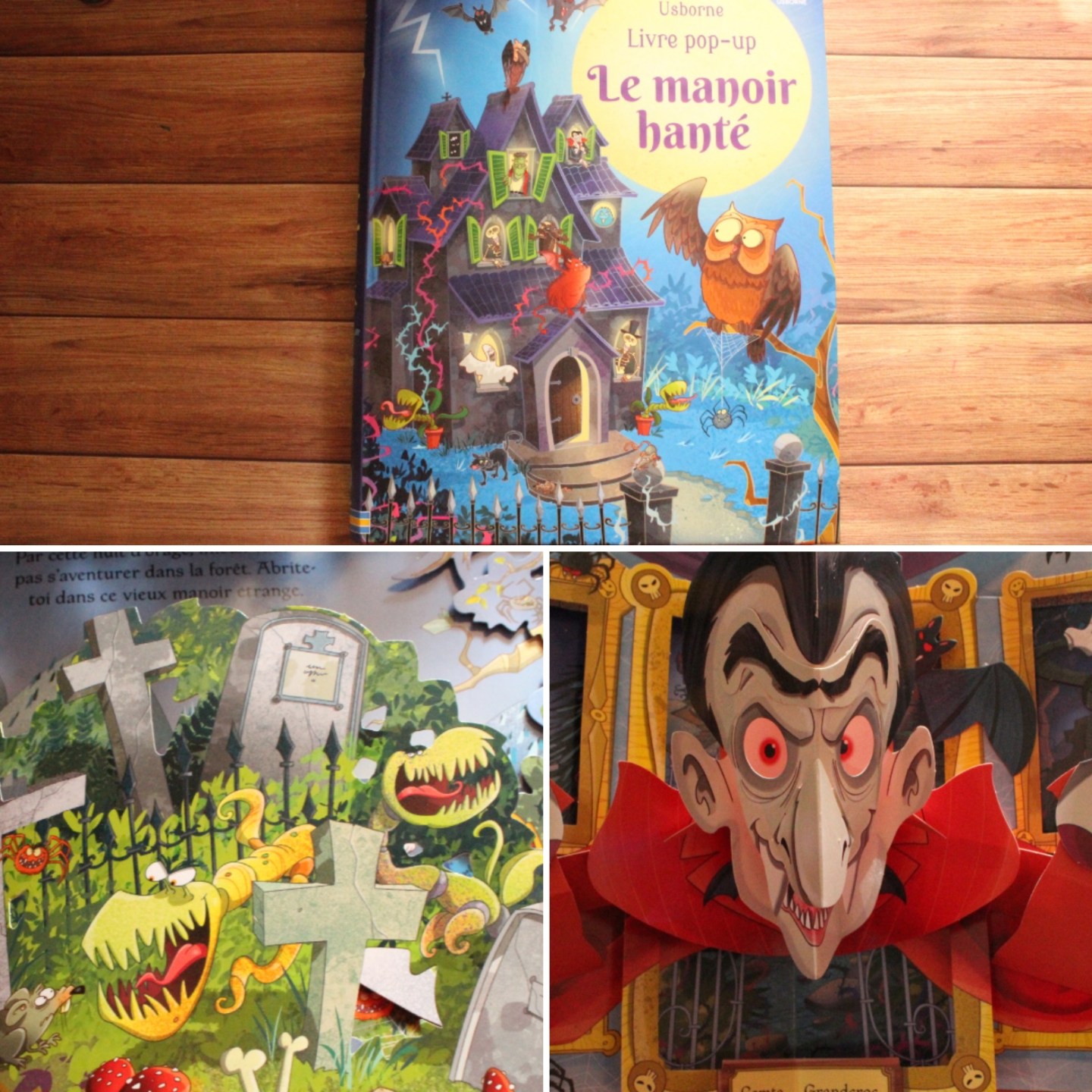 Halloween – liste de lecture – Maman des fauves