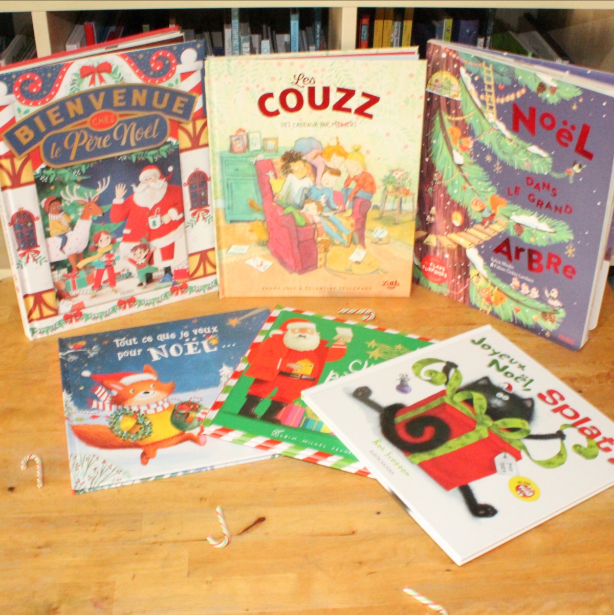 Livres de Noël – Maman des fauves