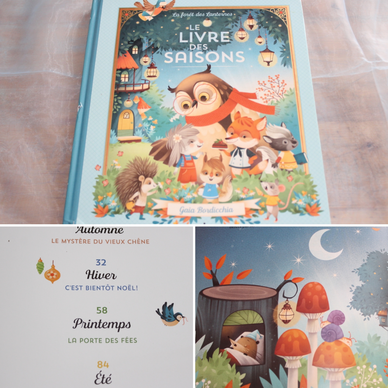 Les saisons – liste de lecture – Maman des fauves