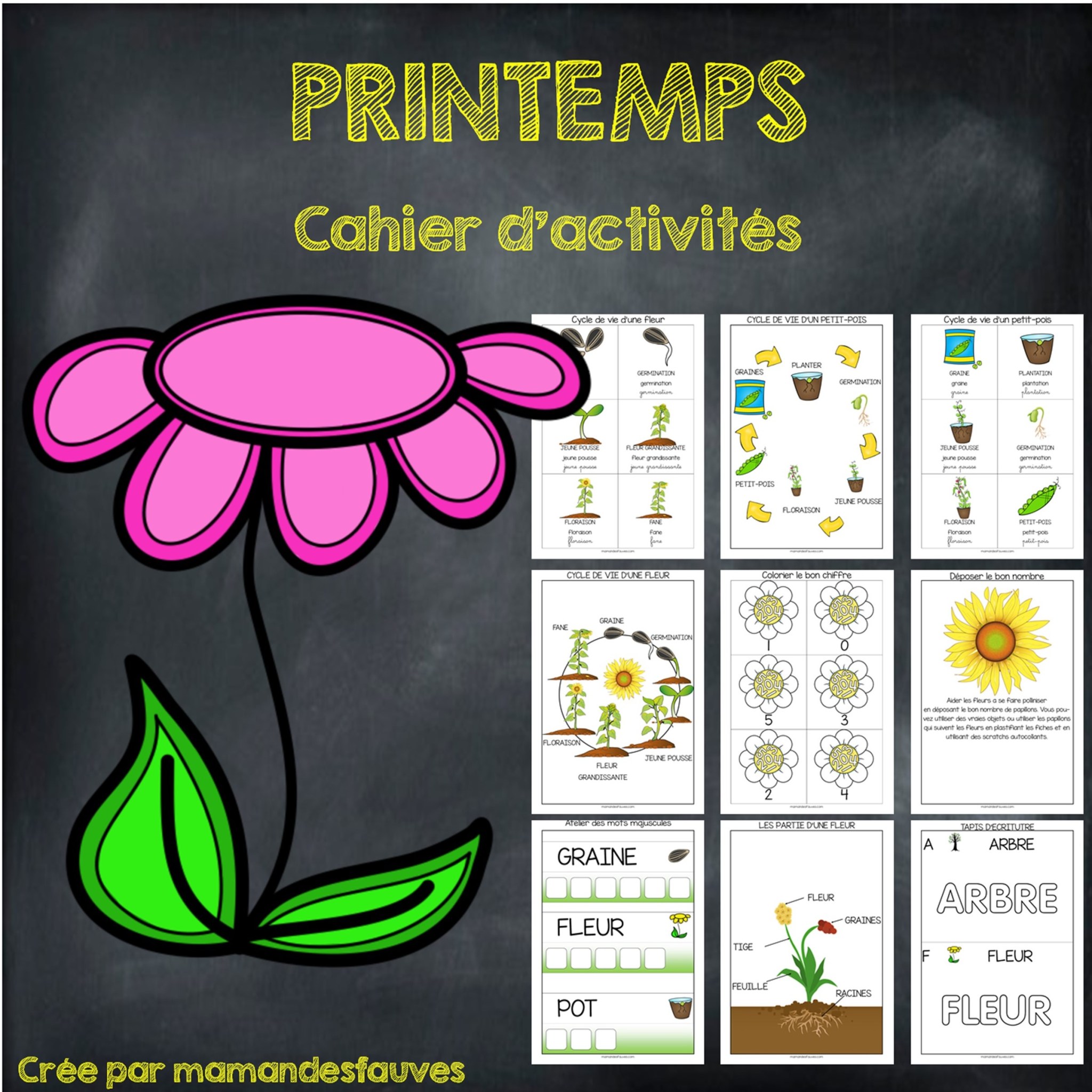 Printemps – fiches à imprimer – Maman des fauves