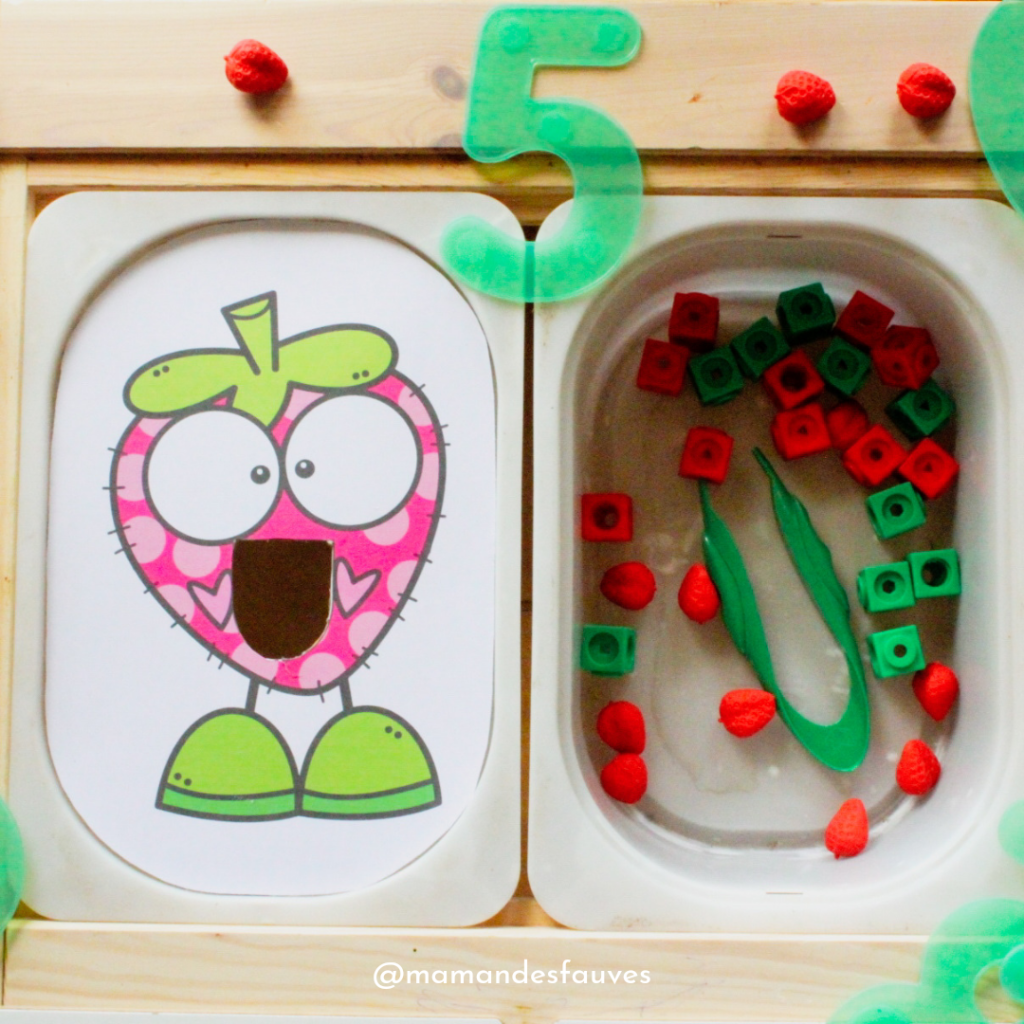 Activités autour des fraises – Maman des fauves