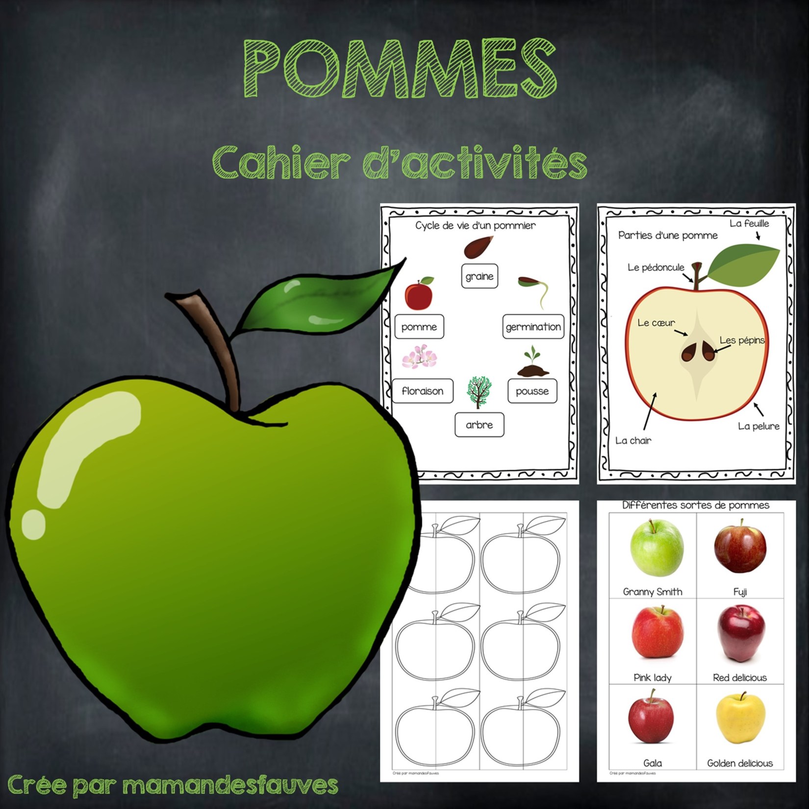 Pommes – fiches à imprimer – Maman des fauves