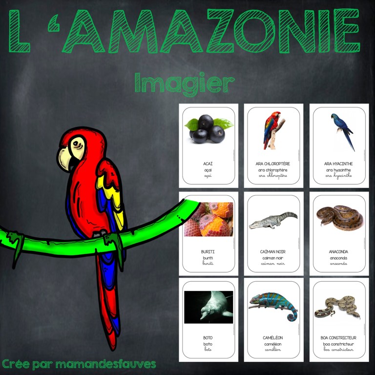 L’Amazonie – fiches à imprimer – Maman des fauves