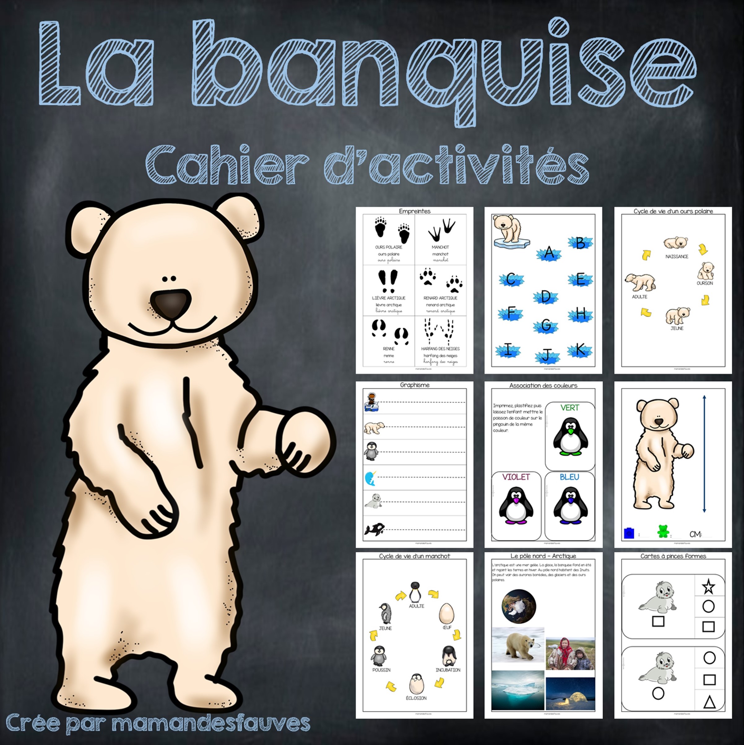 La banquise – fiches à imprimer – Maman des fauves