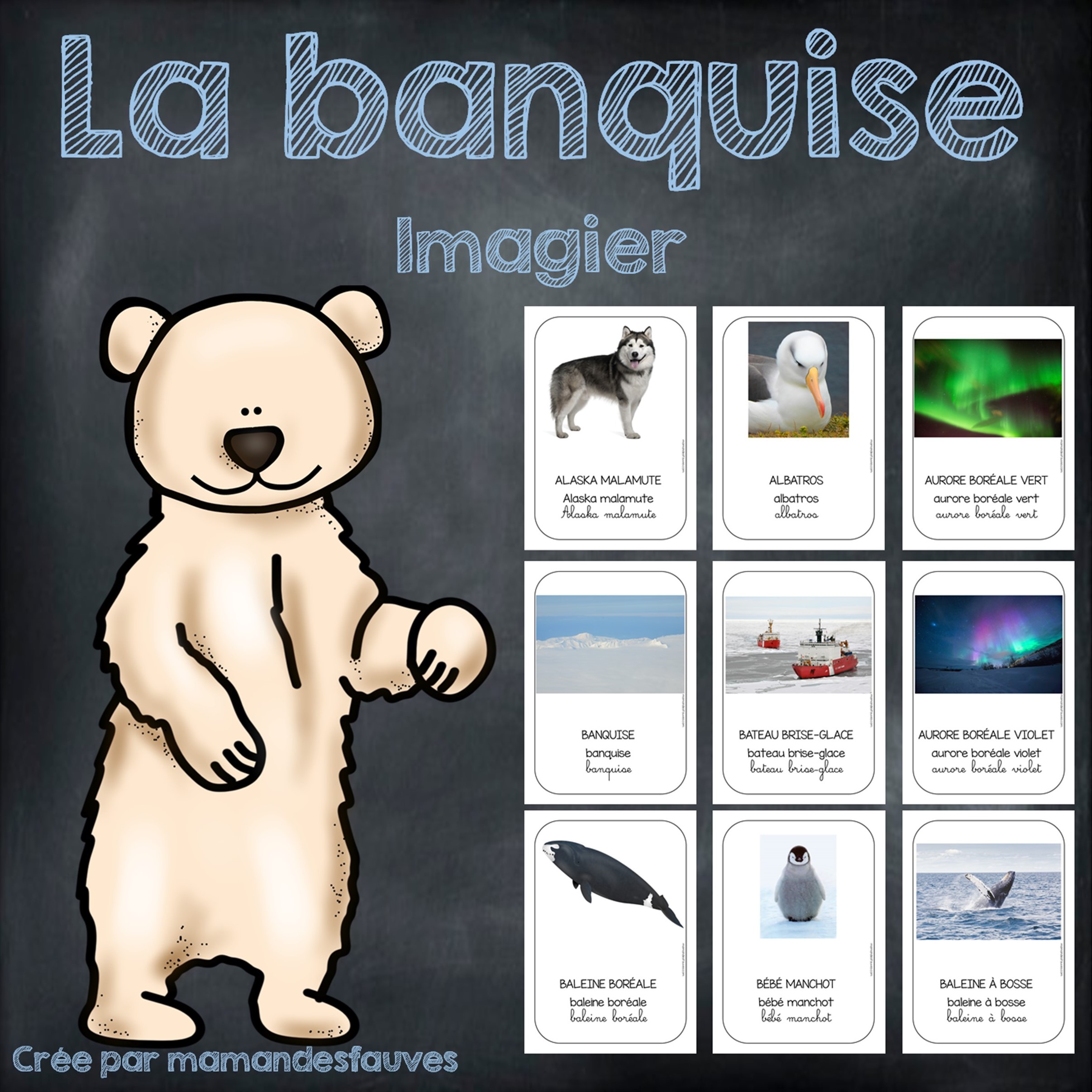 La banquise – fiches à imprimer – Maman des fauves