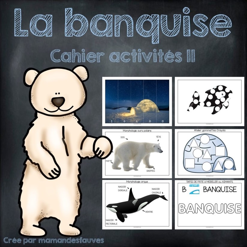 La banquise – fiches à imprimer – Maman des fauves