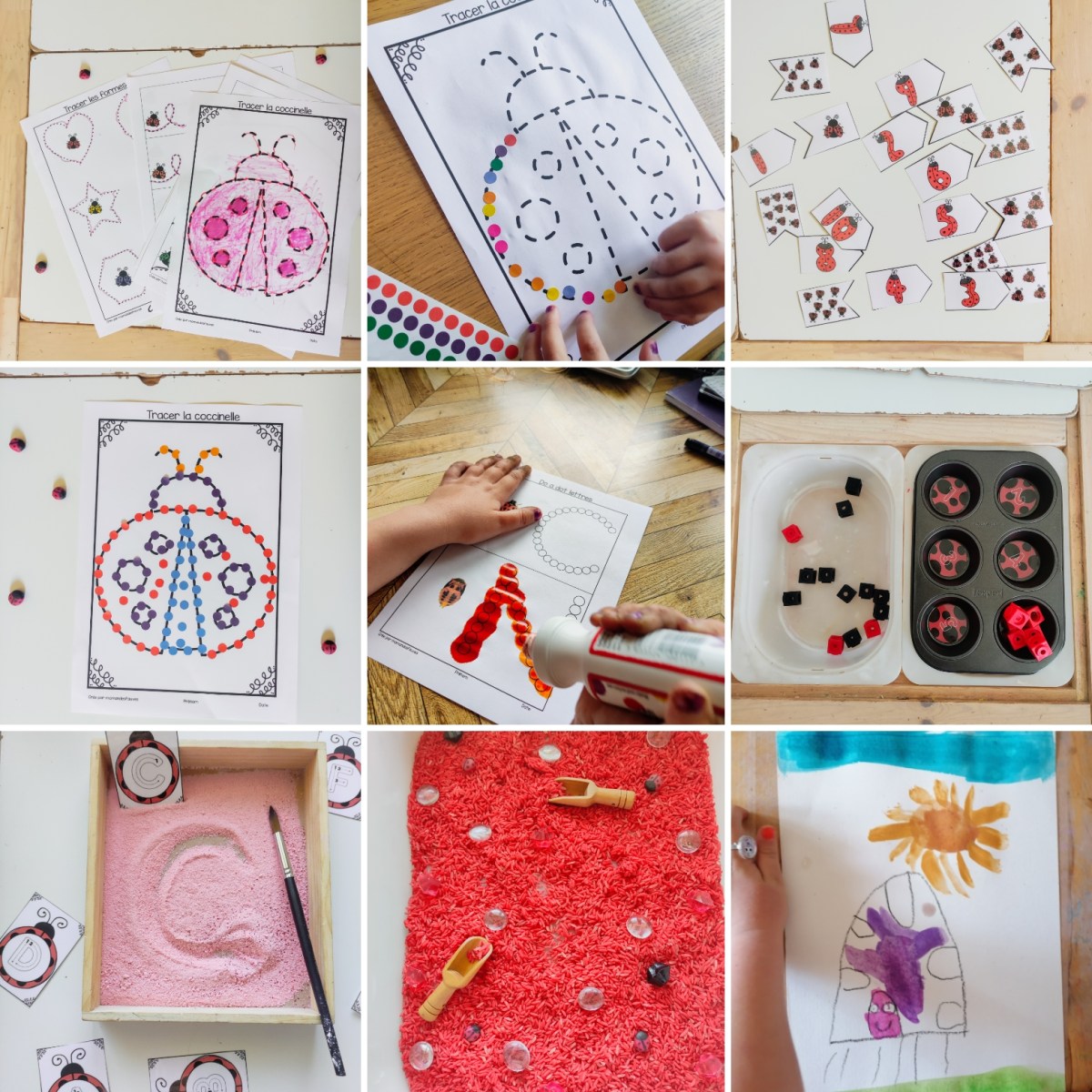 Nos activités autour des coccinelles – Maman des fauves