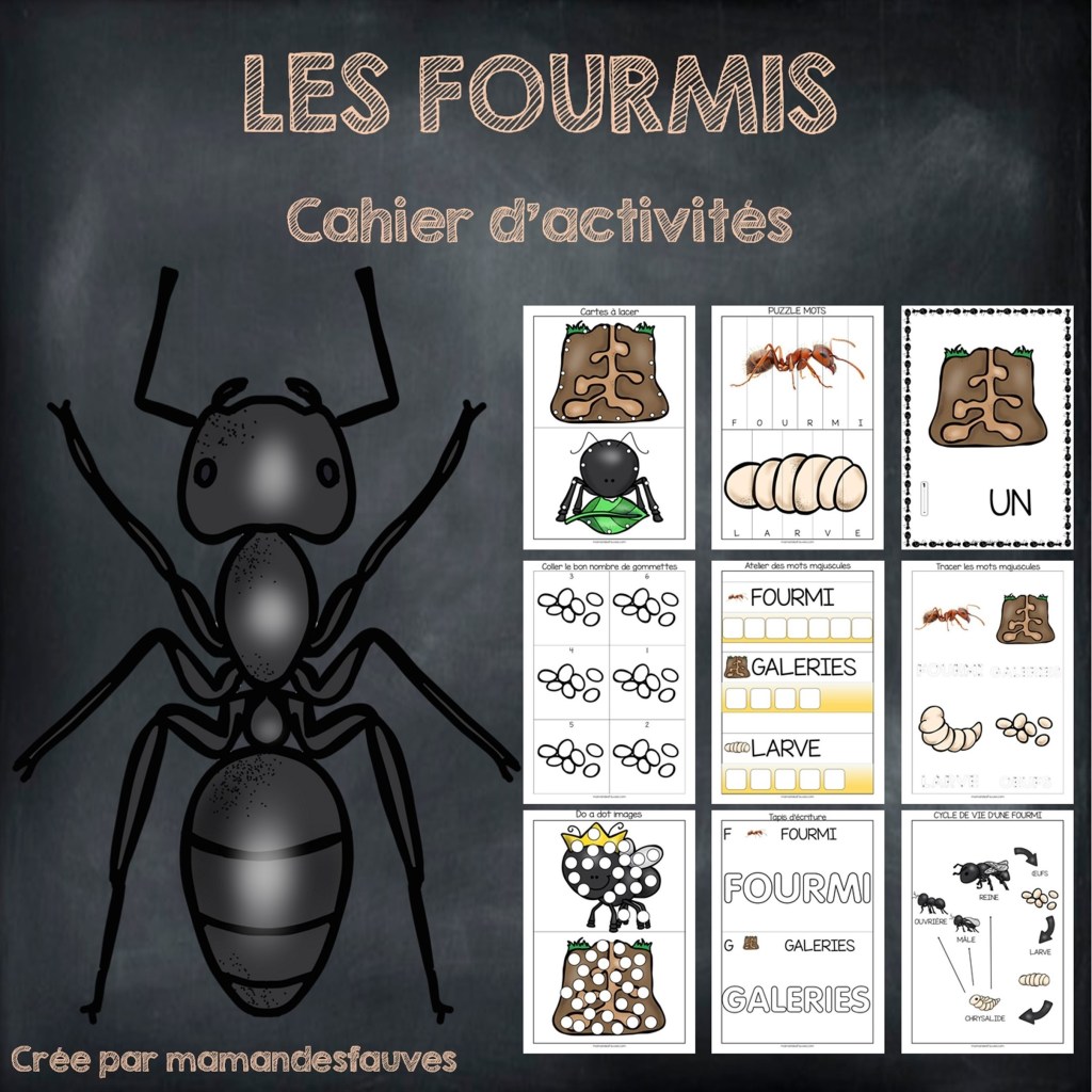 🐜 Les fourmis – fiches à télécharger 🐜 – Maman des fauves