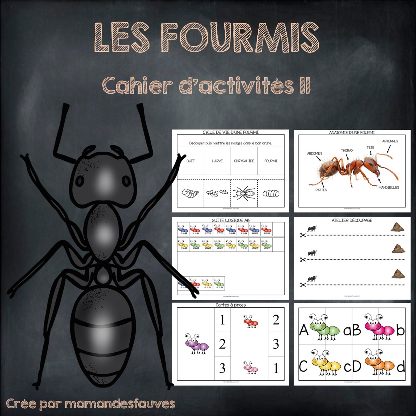 🐜 Les fourmis – fiches à télécharger 🐜 – Maman des fauves