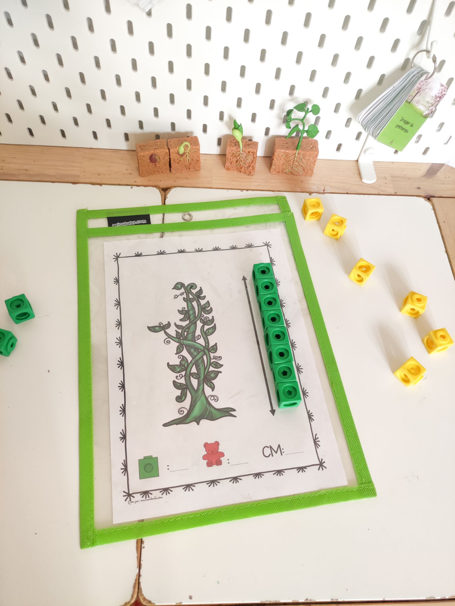 Des activités magiques autour de Jack et le Haricot Magique en ...