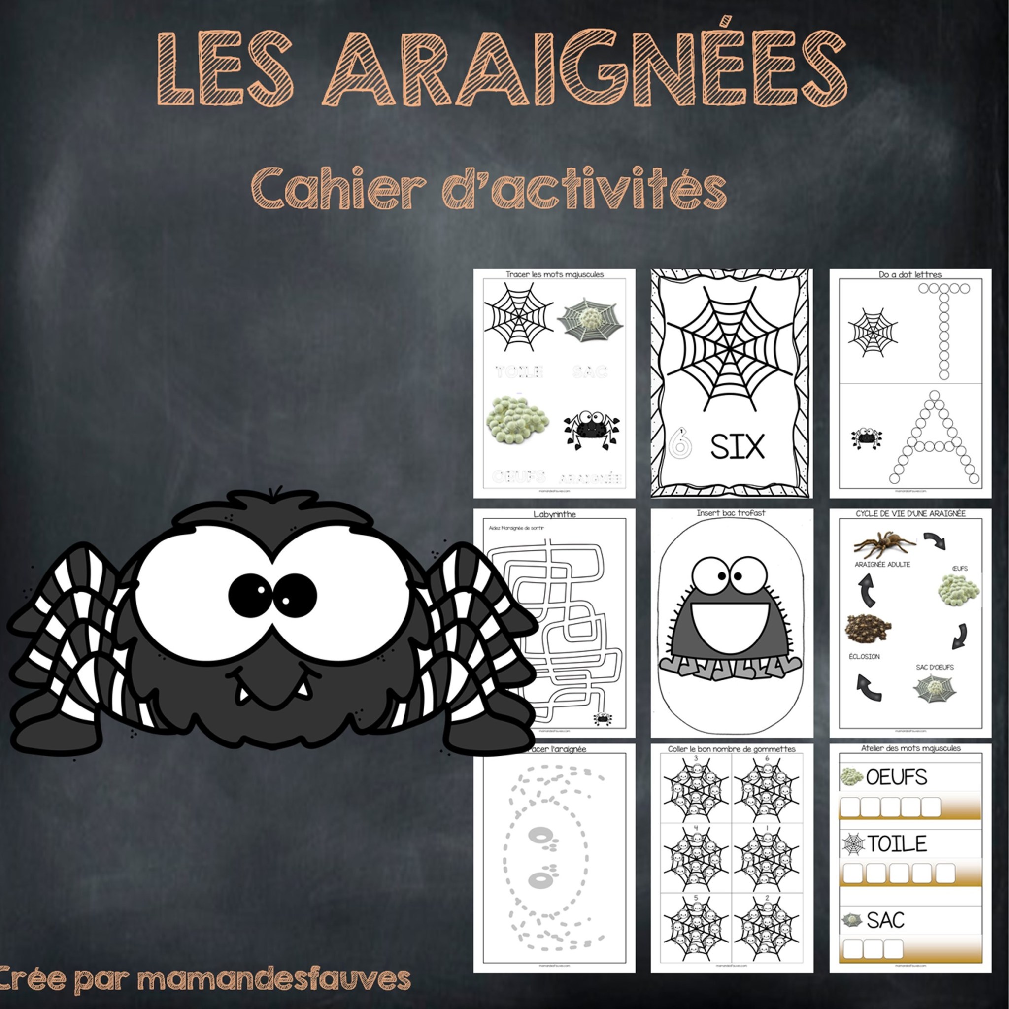 Les araignées – fiches à télécharger – Maman des fauves