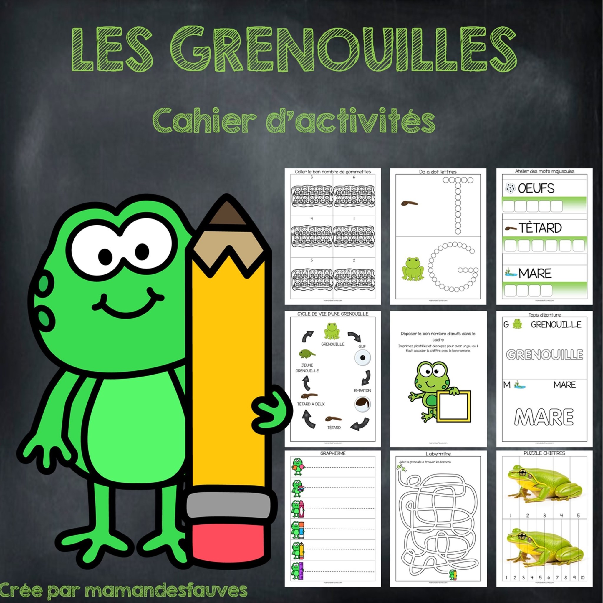 Les grenouilles – fiches à télécharger – Maman des fauves