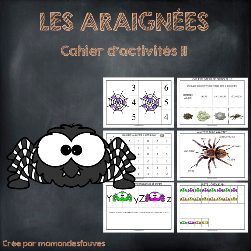 Les araignées – fiches à télécharger – Maman des fauves