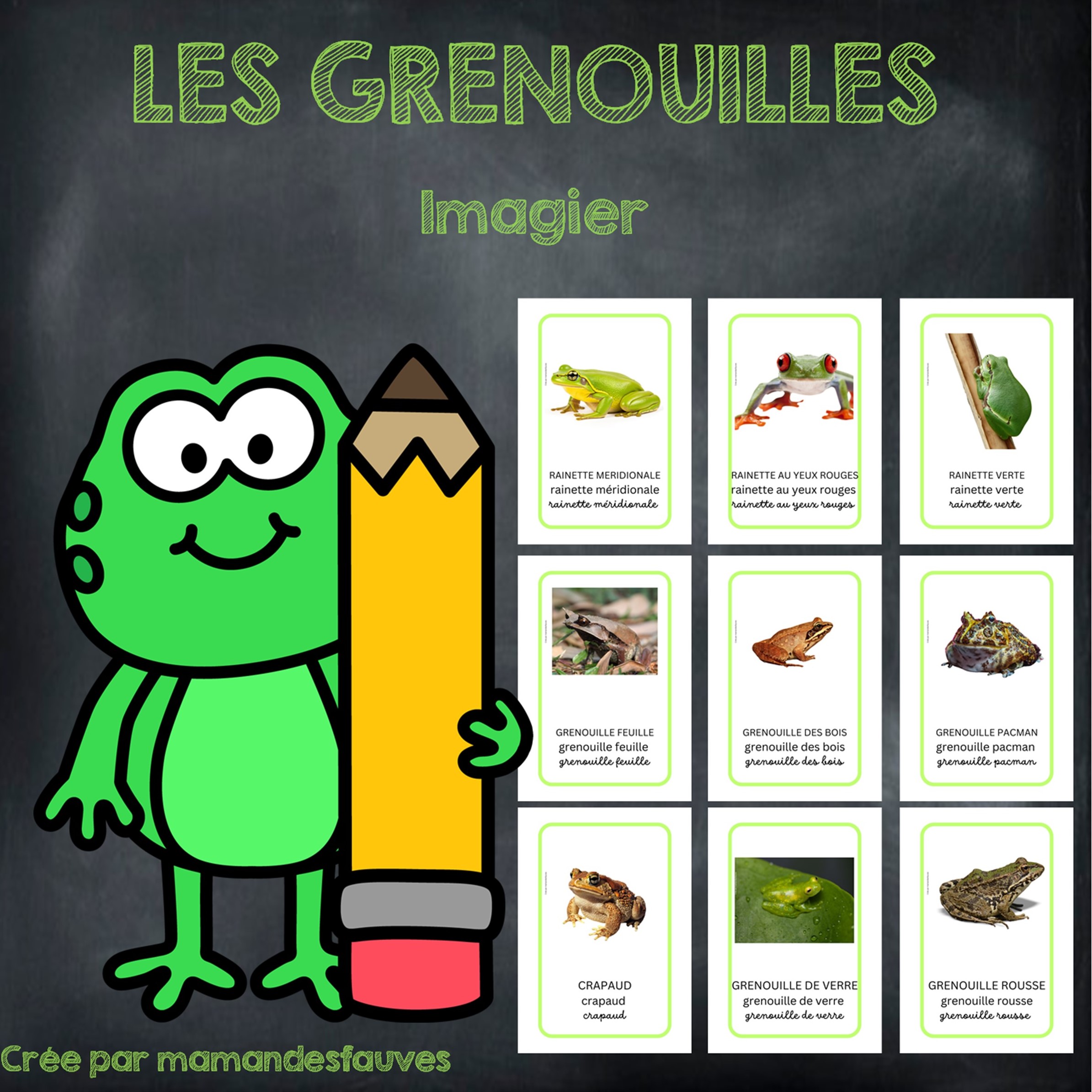Les grenouilles – fiches à télécharger – Maman des fauves